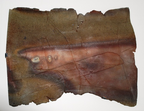 Clay Shield | Facilities Management - The University of Iowa