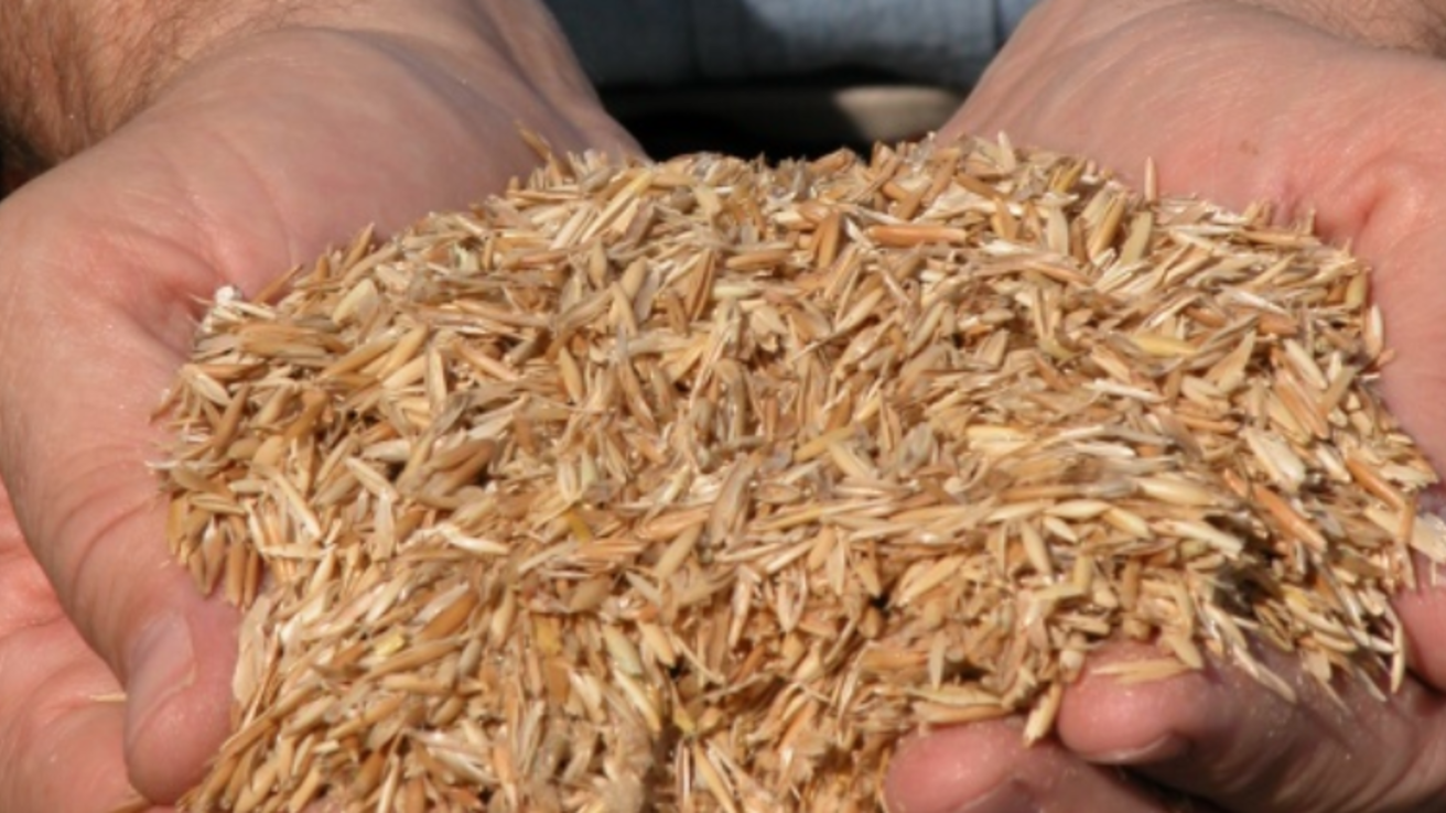 Renewable Energy | Facilities Management - The University of Iowa