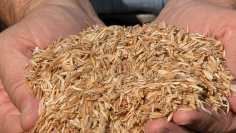 Renewable Energy | Facilities Management - The University of Iowa